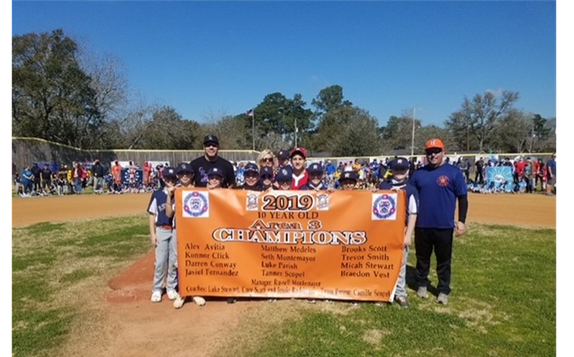 Alvin Little League Baseball > Home