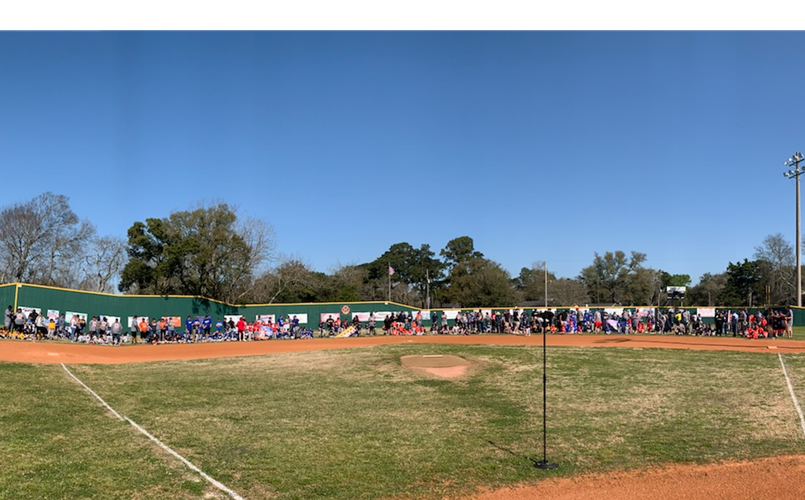 Alvin Little League Baseball > Home