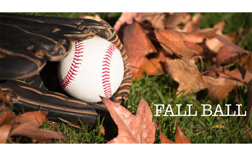 Alvin Little League Baseball > Home