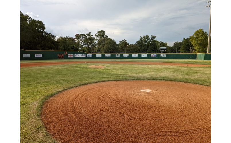 Alvin Little League Baseball > Home