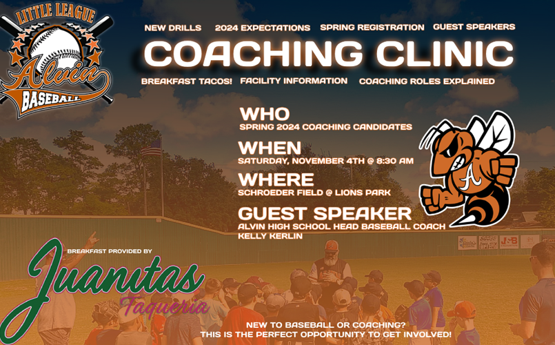 Alvin Little League Baseball > Home