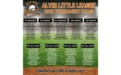 Alvin Little League Baseball > Home