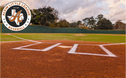 Alvin Little League Baseball > Home